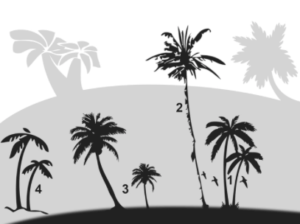 300+ Free Nature Brushes for Procreate in 2025