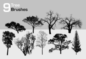300+ Free Nature Brushes for Procreate in 2025
