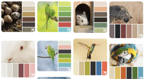 31 Free Procreate Color Palettes (How to Use Them)