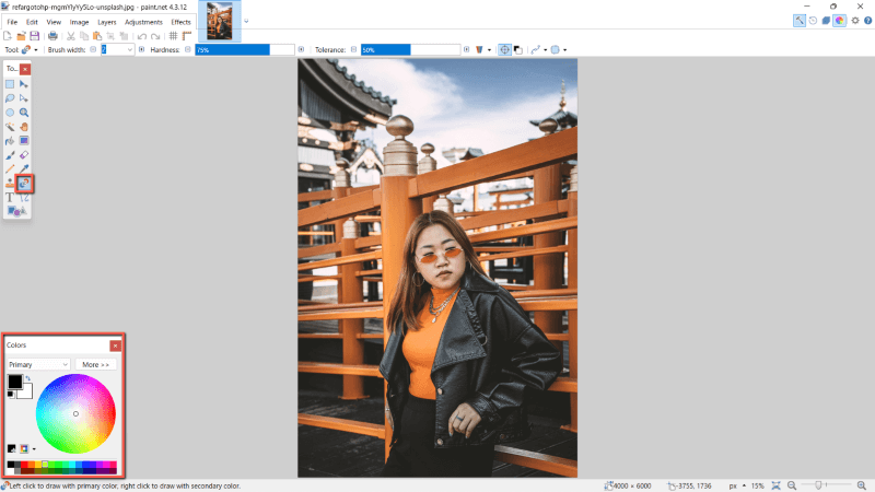 How To Change Colors In Paint NET 6 Steps Tips 