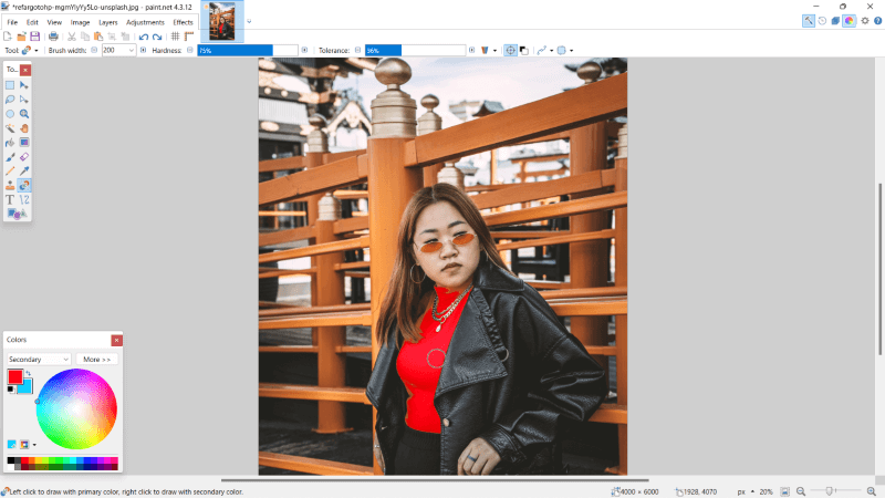 How To Change Colors In Paint NET 6 Steps Tips 