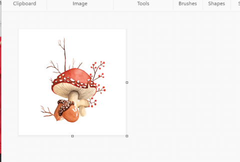 How to Change DPI in Microsoft Paint (3 Quick Steps)