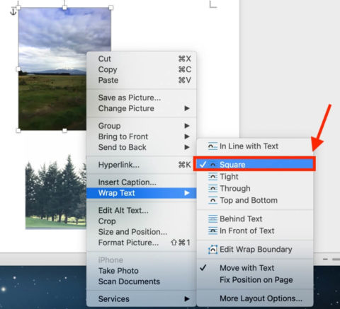 5 Ways to Compress Photos on Mac (Step-by-Step Guide)