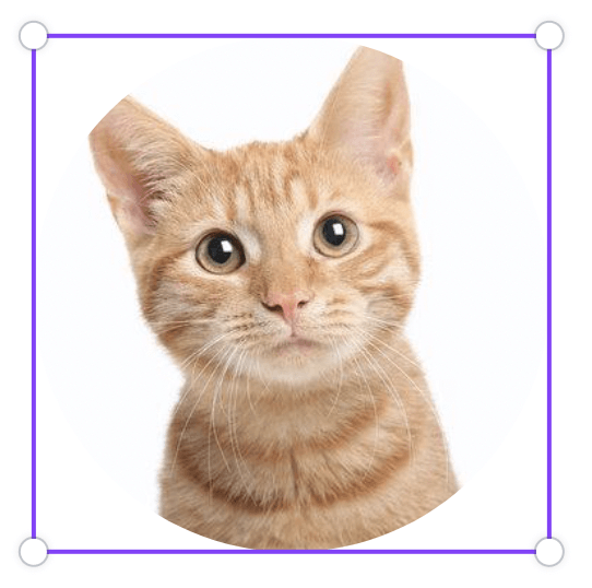 2 Quick Ways To Create A Facebook Frame In Canva S a Ch a T L nh 2 Quick Ways To Create A Facebook Frame In Canva S a Ch a T L nh