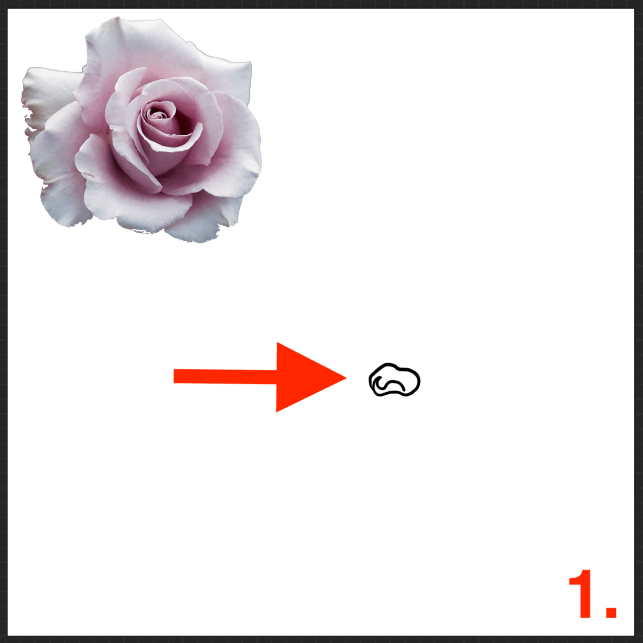 How to Draw a Rose in Procreate (12 Detailed Steps) How to Draw a Rose in Procreate (12 Detailed Steps)