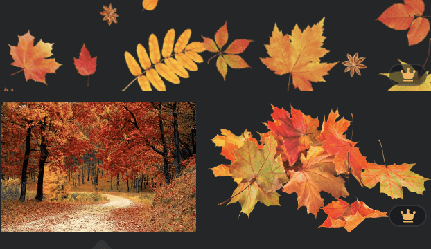 How To Make A Picture In A Circle On Canva 6 Steps 