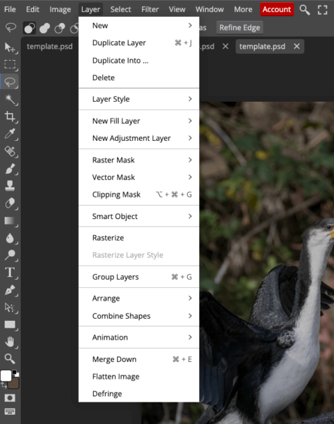 Photopea Review: Is It Really Good? (Updated 2024)