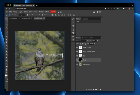 Photopea Review: Is It Really Good? (Updated 2024)