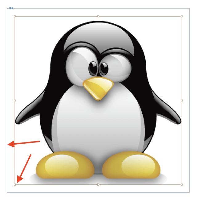 4 Quick Ways To Resize An Image In Adobe InDesign