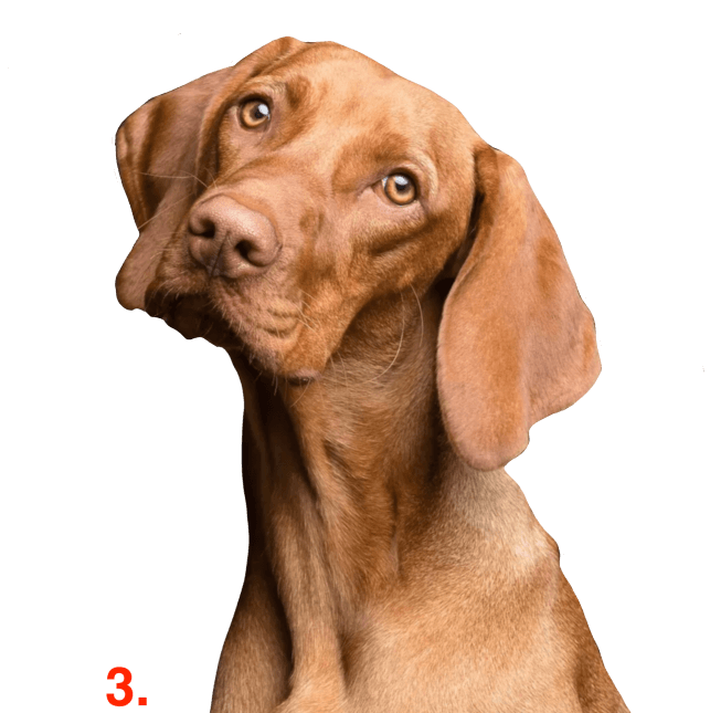 How To Save Procreate File With Transparent Background Thcscamduong