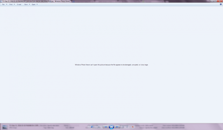 Stellar Photo Recovery Review: Does It Work? (Test Result)