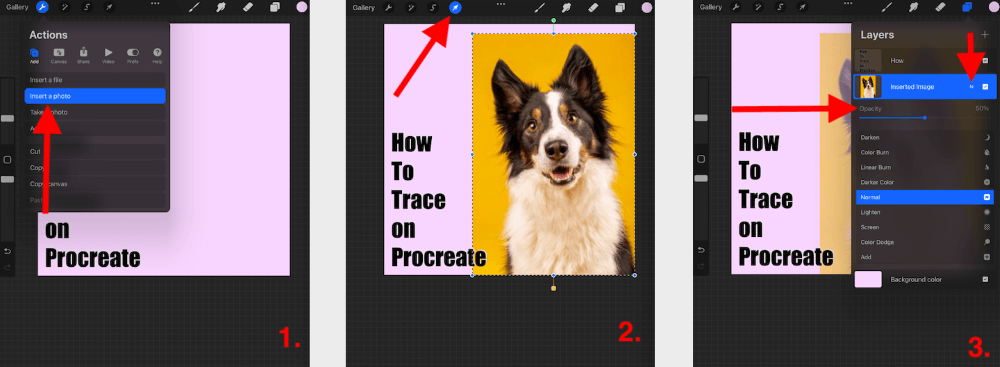 How To Trace On Procreate 6 Steps Hints Tips 