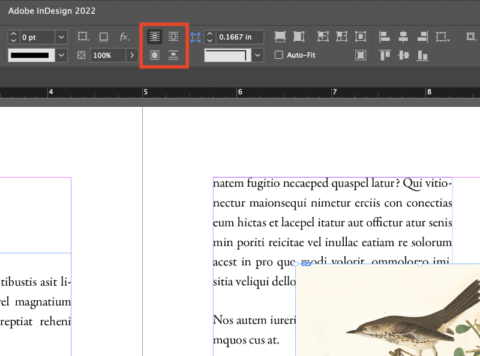 How to Wrap Text in Adobe InDesign (Step-by-Step)