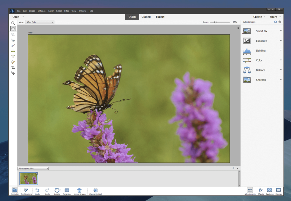6 Best Photo Editing Software for Beginners in 2024