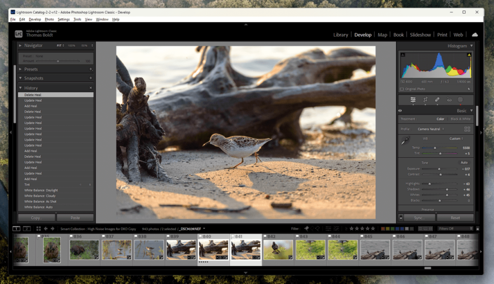 6 Best Photo Editing Software for Beginners in 2024