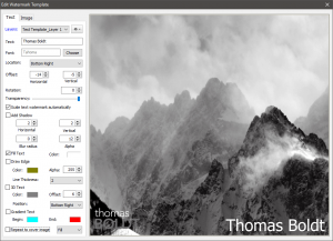 8 Best Watermark Software in 2024 (Tested & Reviewed)