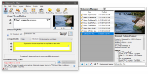8 Best Watermark Software in 2024 (Tested & Reviewed)