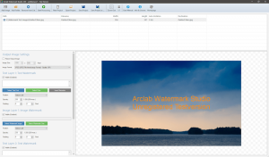 8 Best Watermark Software in 2024 (Tested & Reviewed)